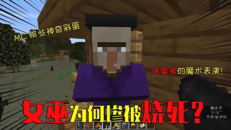 我的世界:女巫为什么会掉落木棍因为女巫=木棍=鸭子!