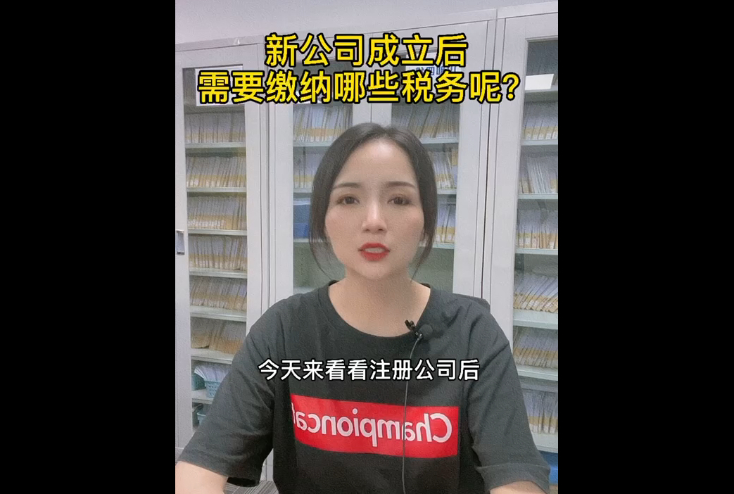 新公司成立后需要缴纳哪些税务?