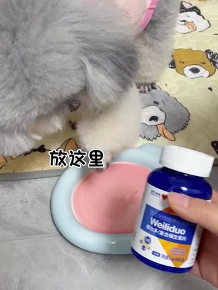 维生素是毛孩子每天所需要的营养,尤其挑食的毛孩子会严重缺乏 一定...