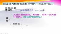 [配课件教案]4.高中生物必修一《第2节 细胞的多样性和统一性》江苏...