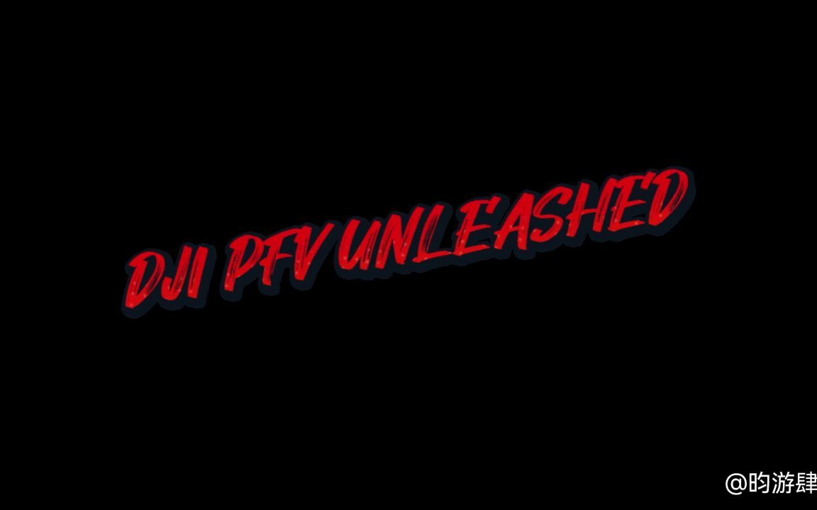 DJI FPV_手动模式初解锁 - Take my FPV for a spin
