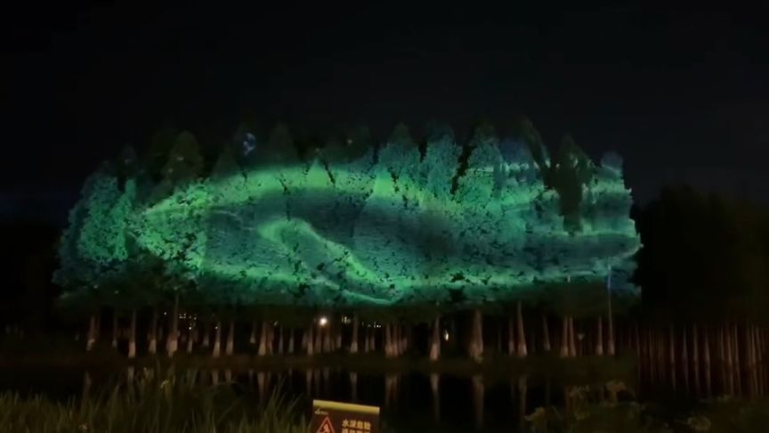 森林公园全息投影,3DMapping树林投影秀,文旅夜游,夜游公园