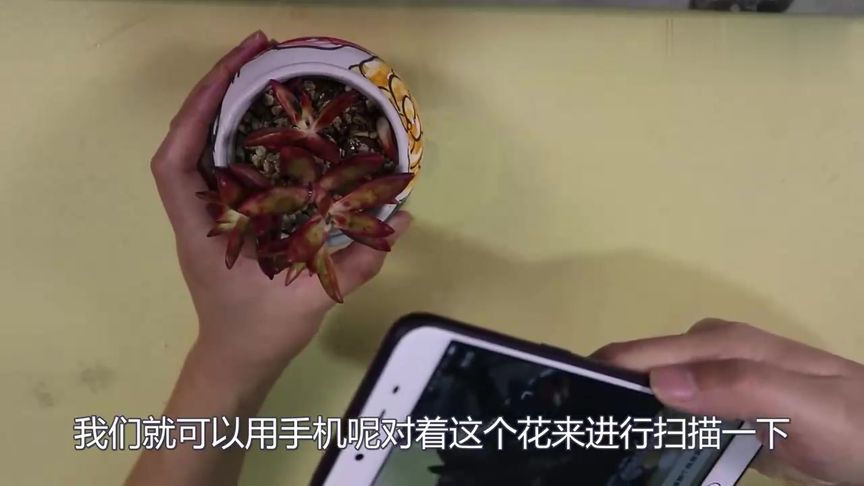 微信扫一扫别只用来扫二维码了,教你最正确用法,学到就是赚到