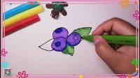 蓝莓简笔画 水果简笔画 简笔画教程