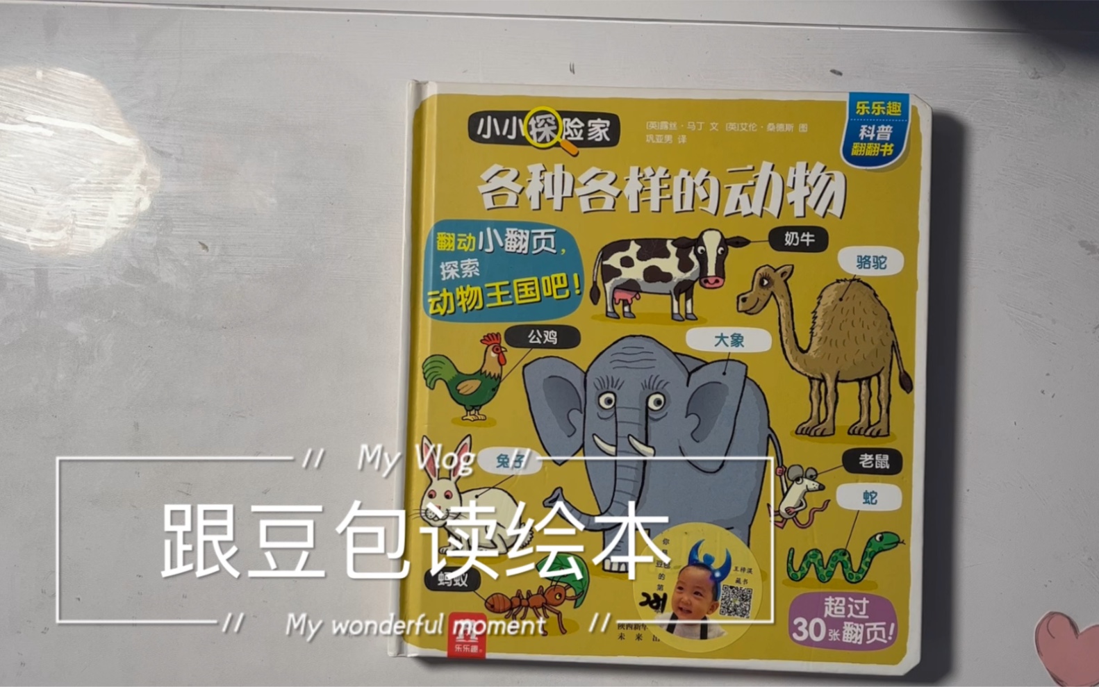 跟豆包读绘本《各种各样的动物》