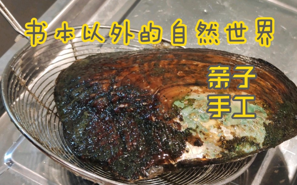 亲子互动手工课,书本以外的自然世界