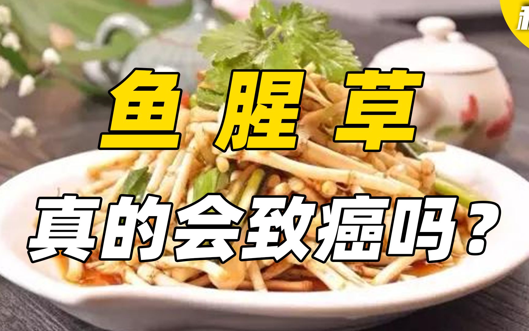 吃鱼腥草吃到肝脏少了1/3,还伤肾致癌?鱼腥草还能吃吗?