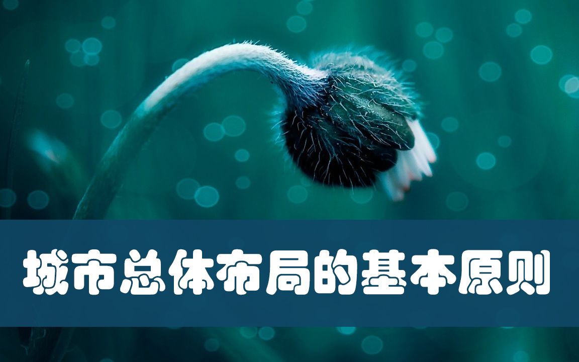 城市总体布局的基本原则