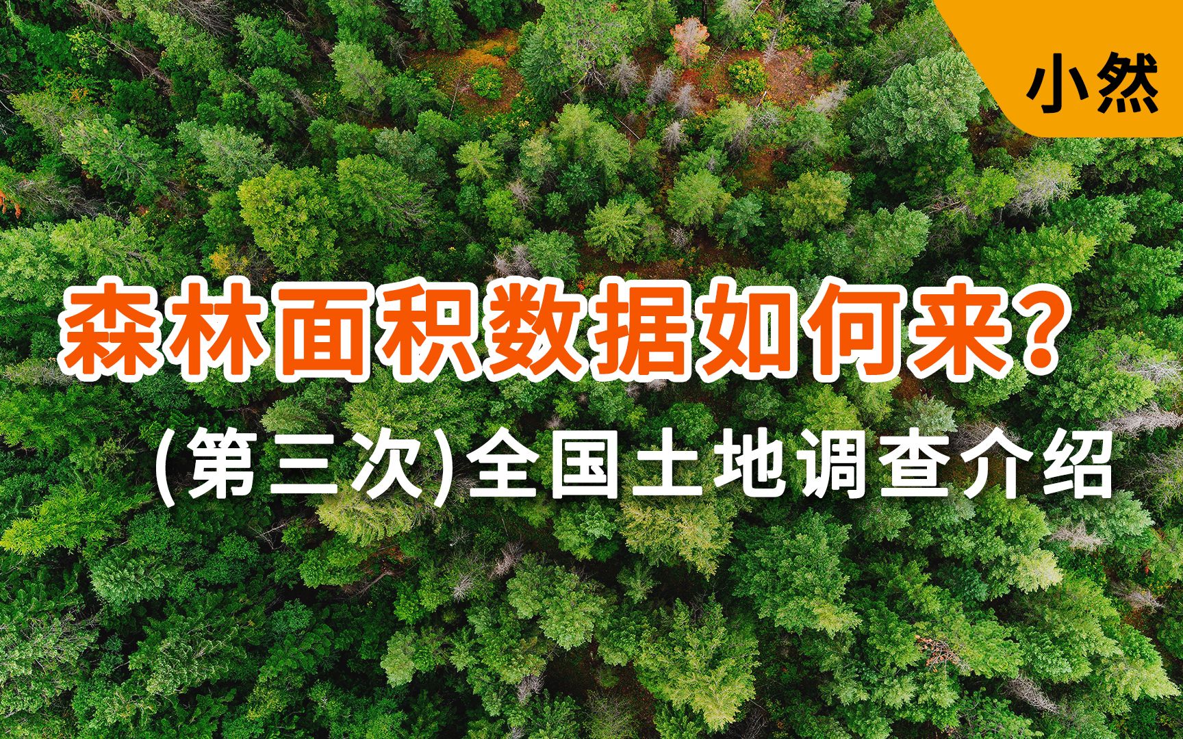 森林面积及各类土地使用数据是如何得来的?