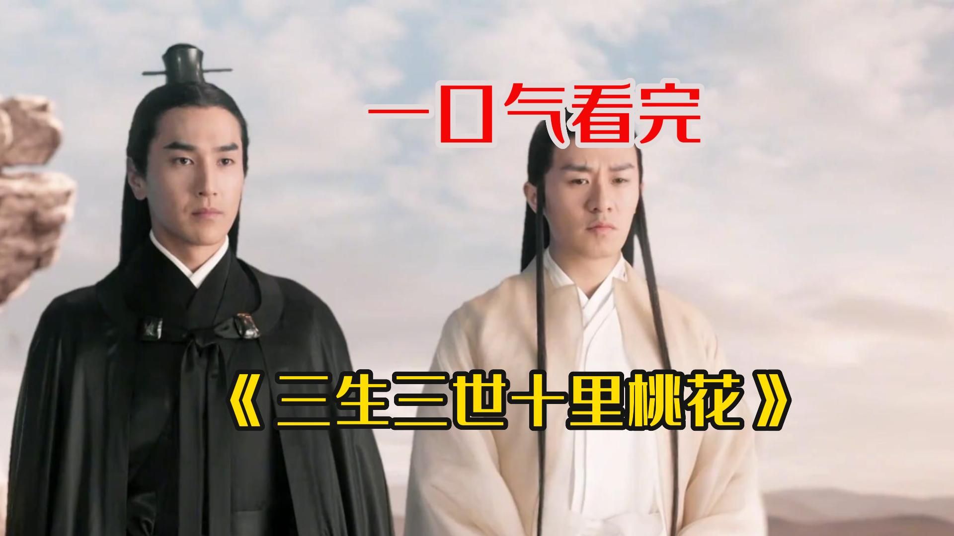 一口气看完《三生三世十里桃花》墨渊替司音受天劫 二皇子喜欢上司音