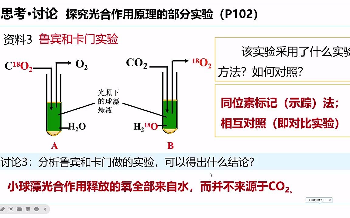 5.4.2光合作用原理的部分实验