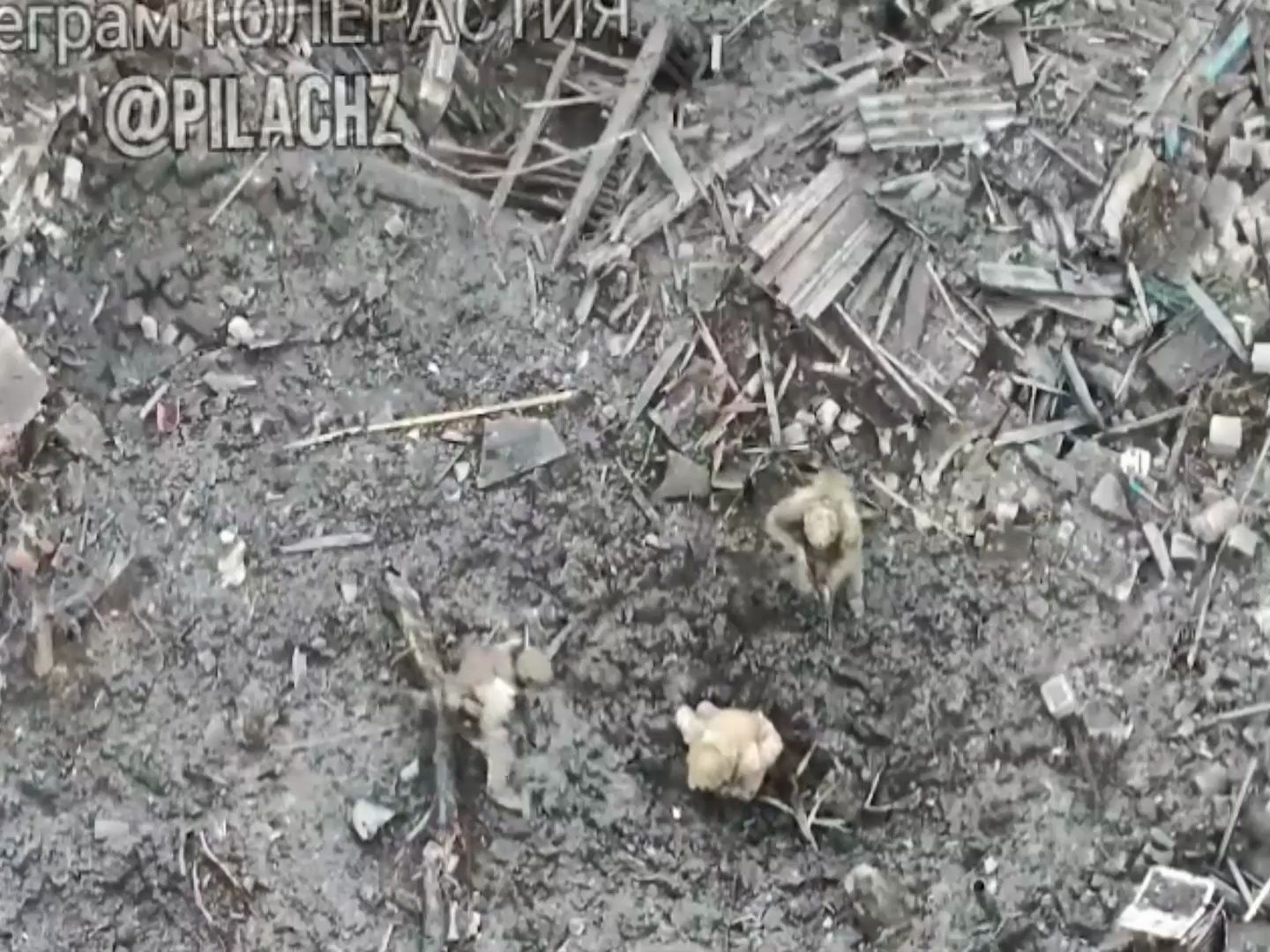 -被伏击了!俄军特种部队夜间伏击乌军伤员运输小队,造成至少三人死亡!