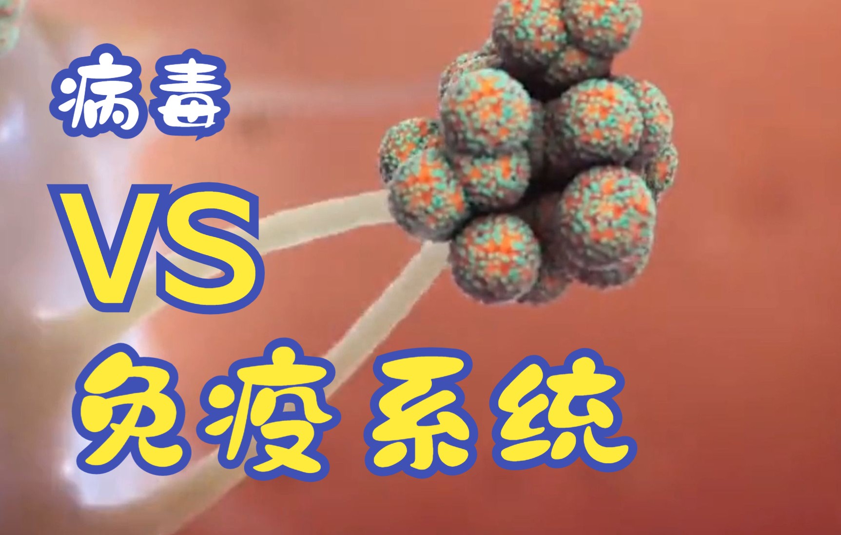 与病毒正面交锋!让你知道免疫系统有多强大