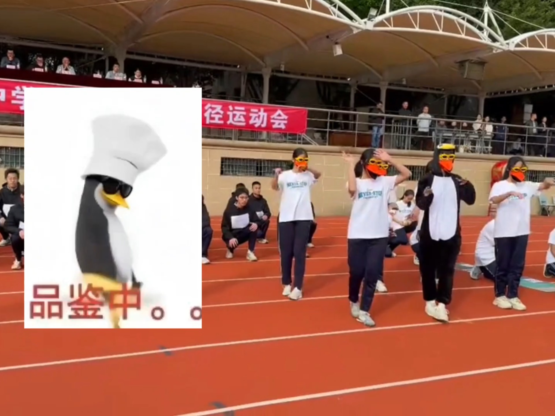 高雅人士,校运会开幕式