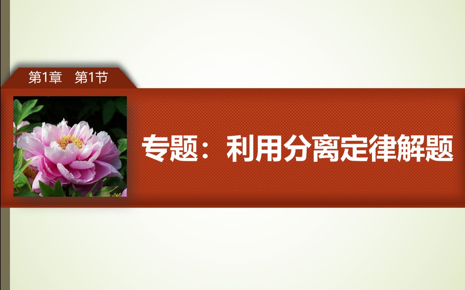 1.1.3专题:利用分离定律解题- 第3课时