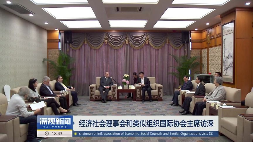 经济社会理事会和类似组织国际协会主席访深