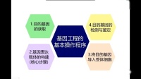 目的基因获取PCR