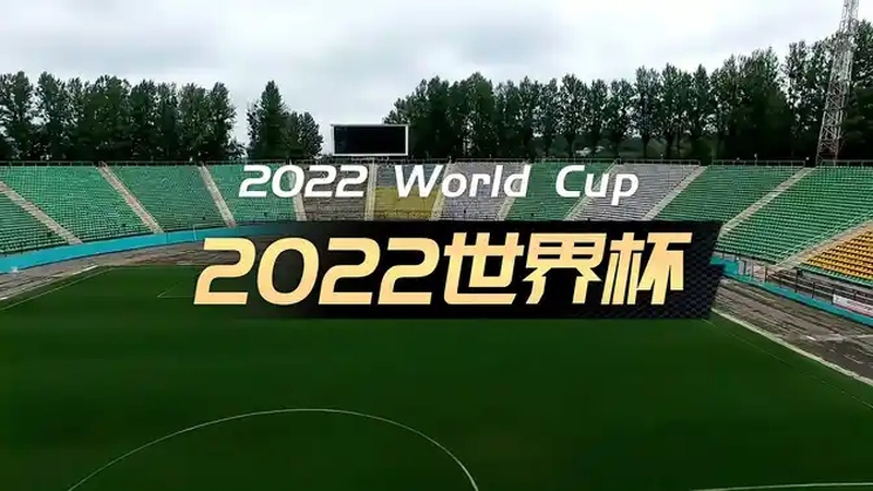 2022世界杯--搞笑动画系列