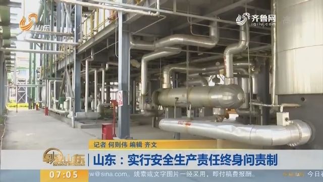 山东省实施《地方党政领导干部安全生产责任制规定》细则