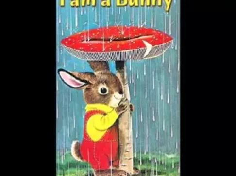 英文绘本 I am a Bunny