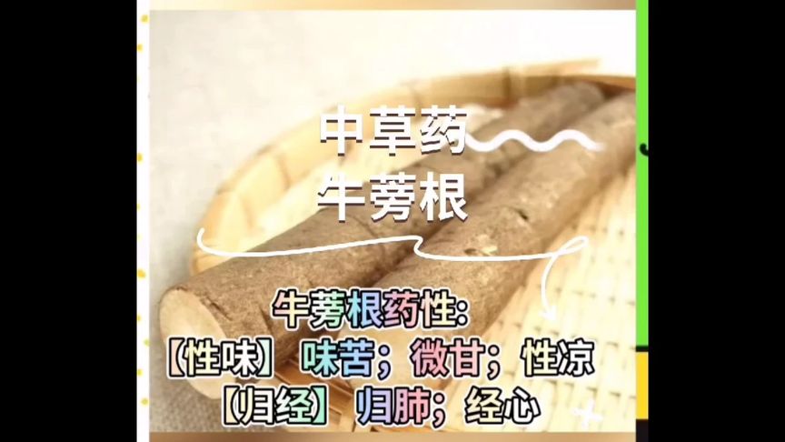 中草药知识大全,中草药牛蒡根的作用与功效。