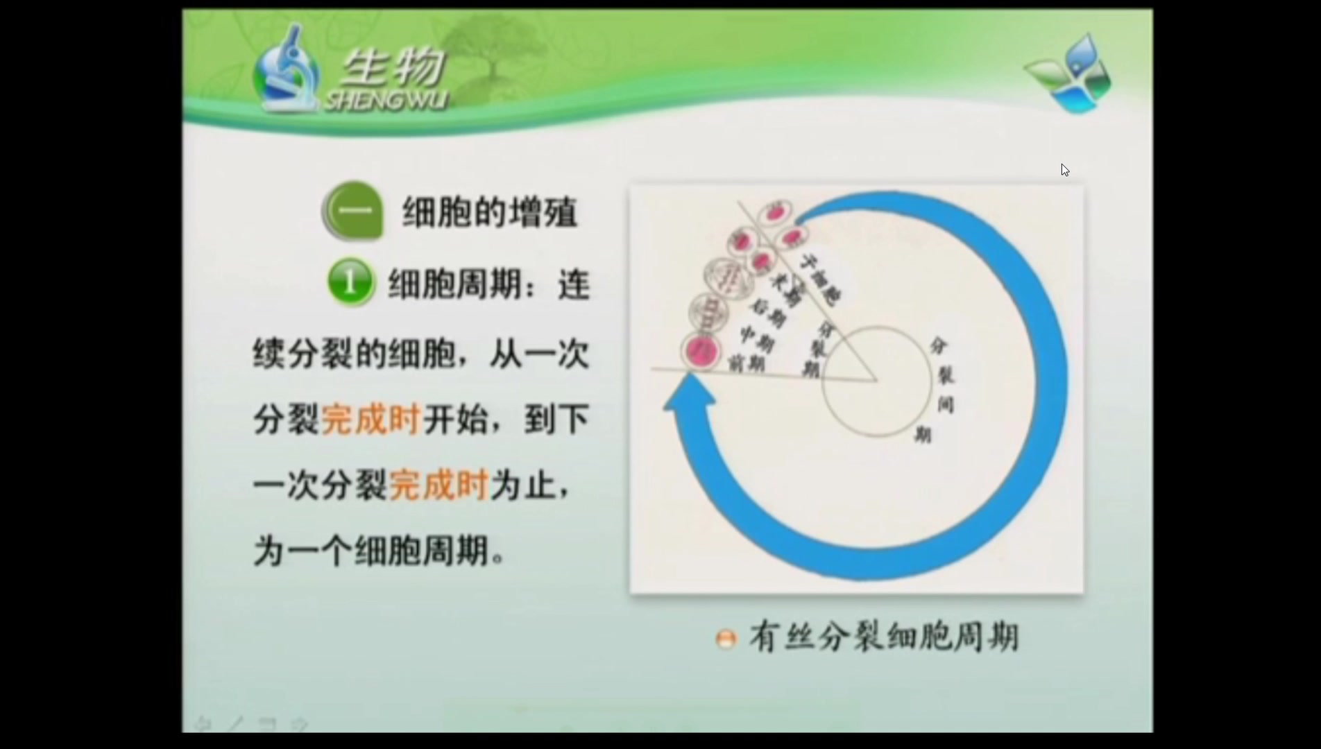 高中生物必修1《有丝分裂》