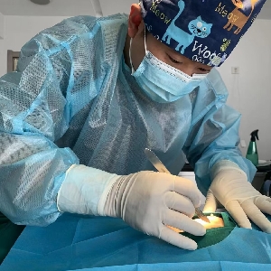 宠物知识科普-许医生 