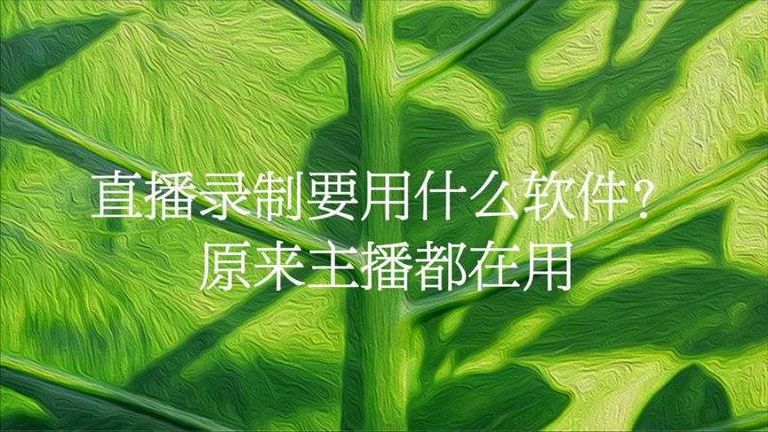 直播录制要用什么软件? 原来主播都在用