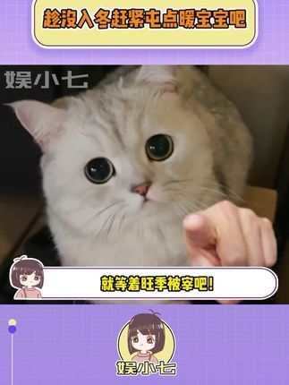 趁着还没入冬,赶紧囤点暖宝宝吧~#暖宝宝