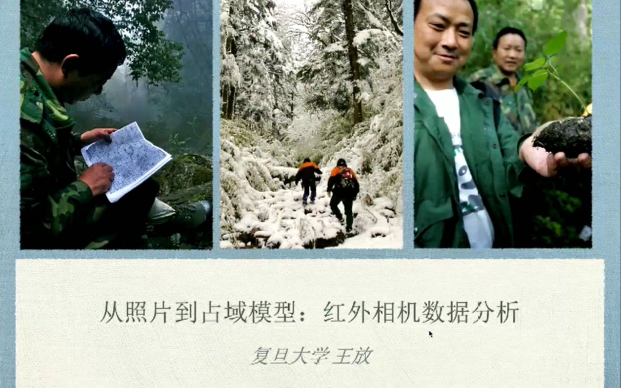 从照片到占域模型:红外相机数据分析 王放老师