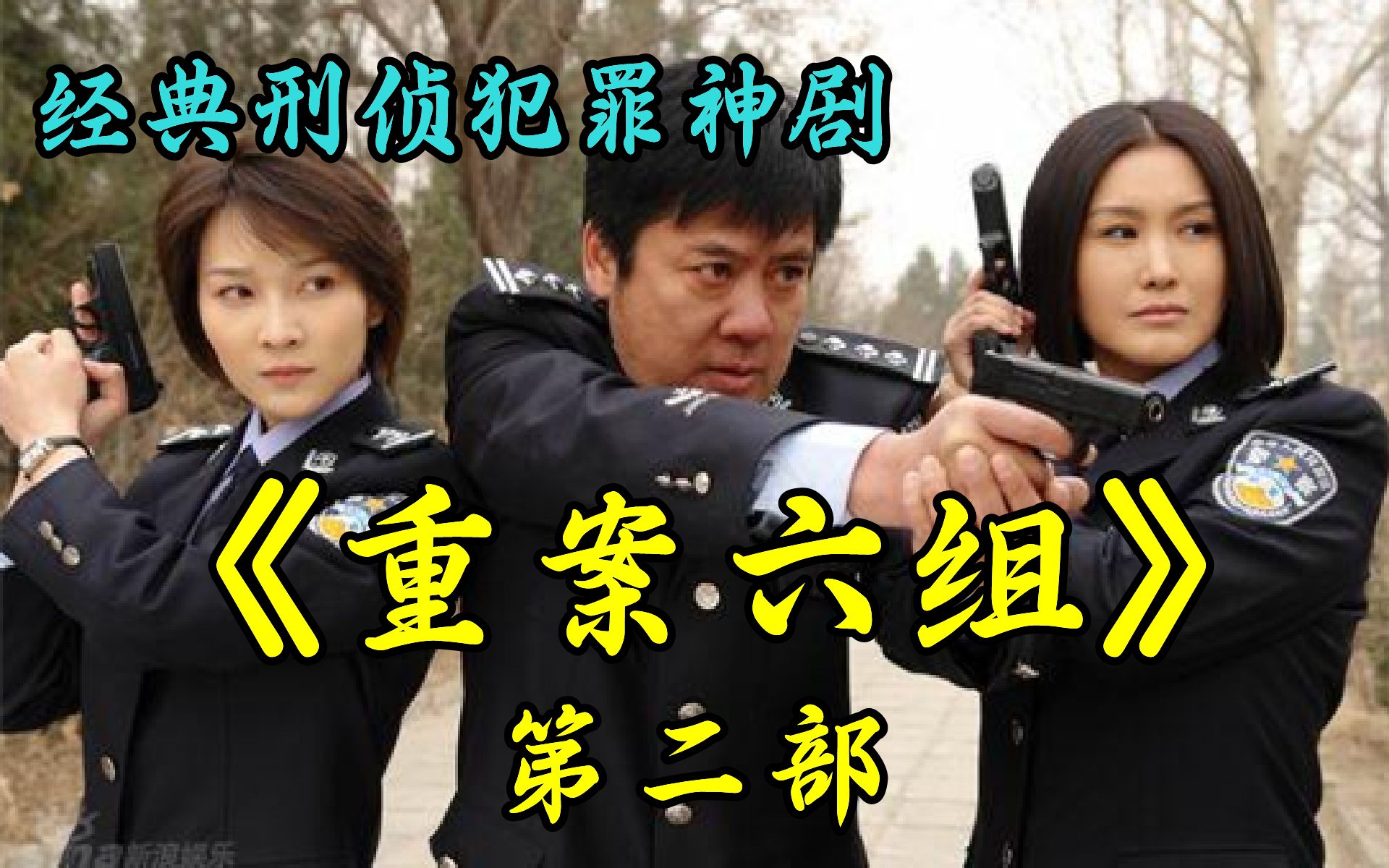 经典刑侦破案神剧【重案六组第二部】多个真实案例,破案过程险象环...