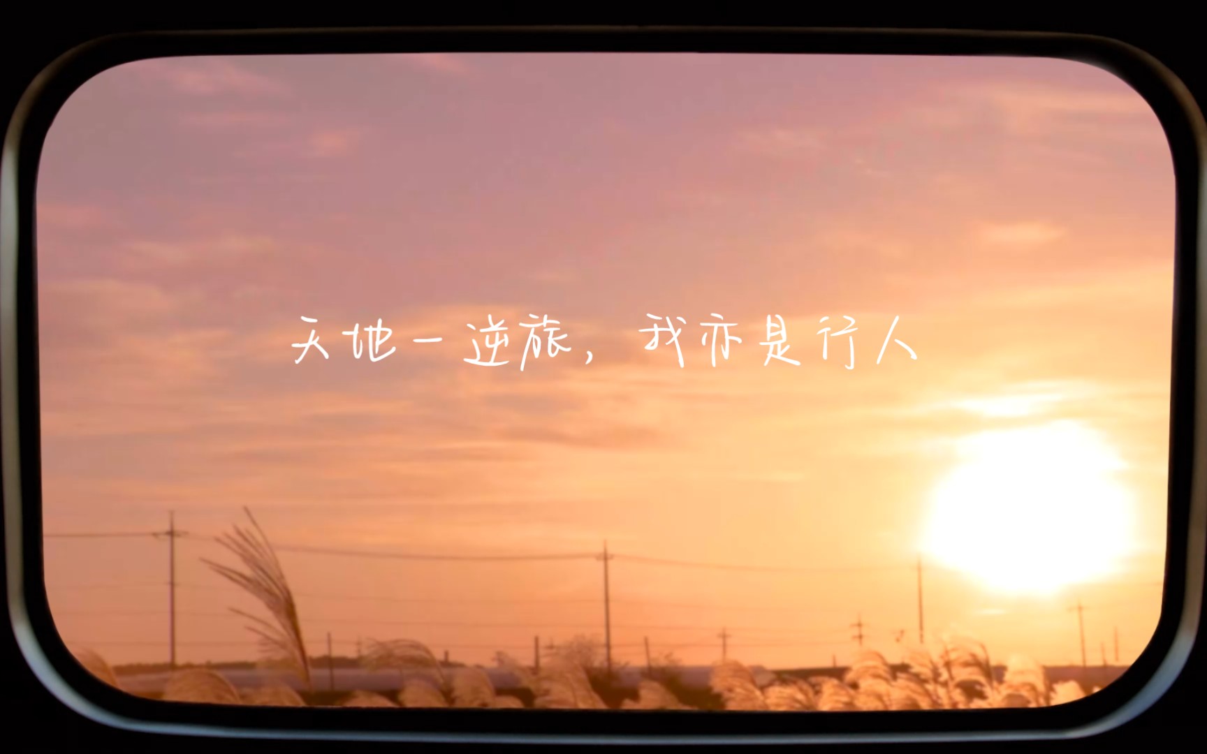 分享一些有感触的文段吧