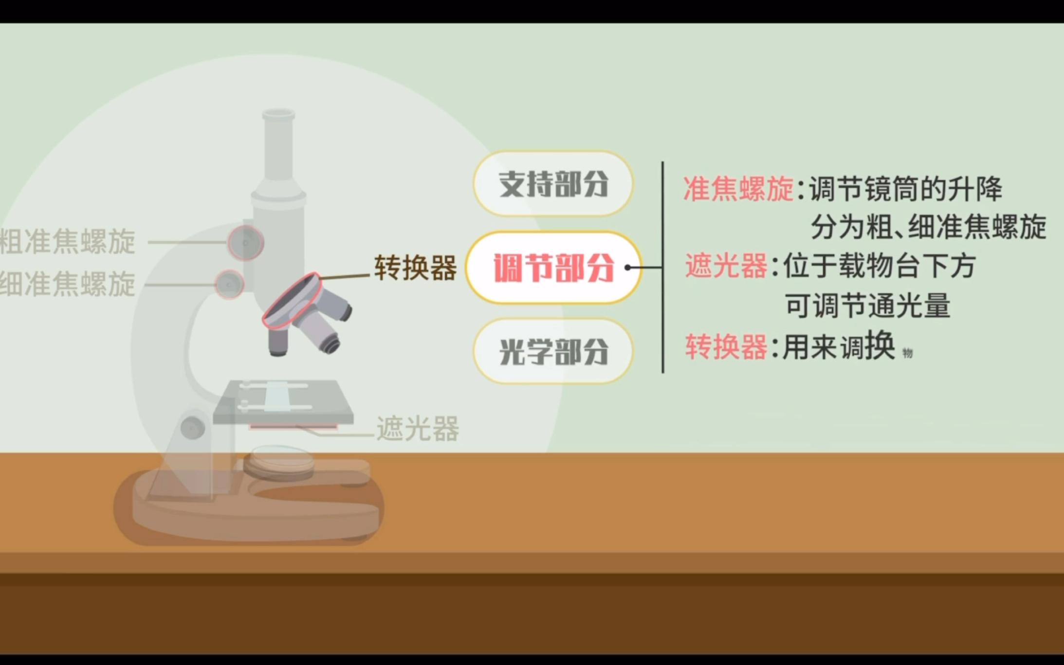 科学知识拓展——显微镜的使用
