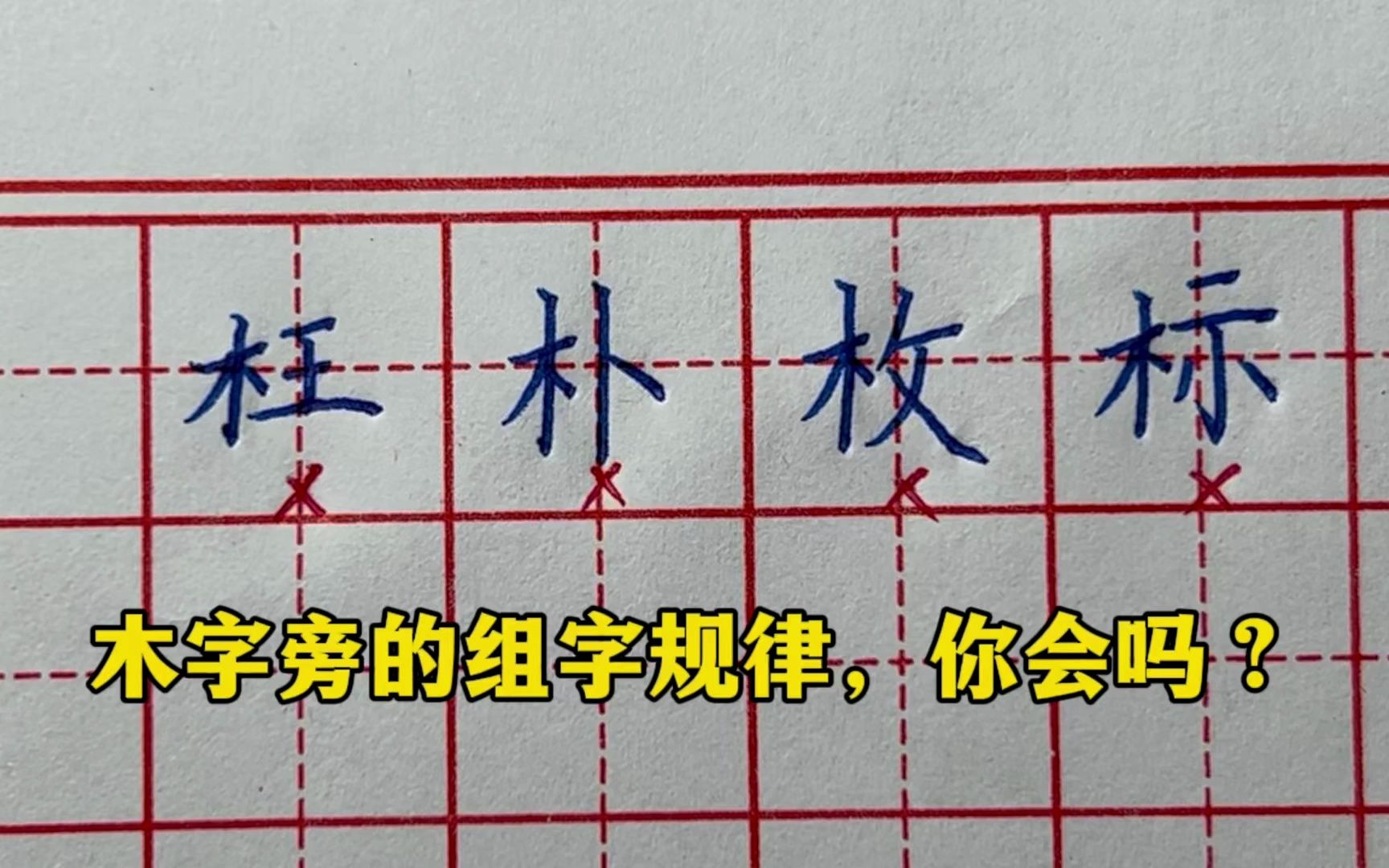 木字旁的组合规律,你会吗?来听老师讲解