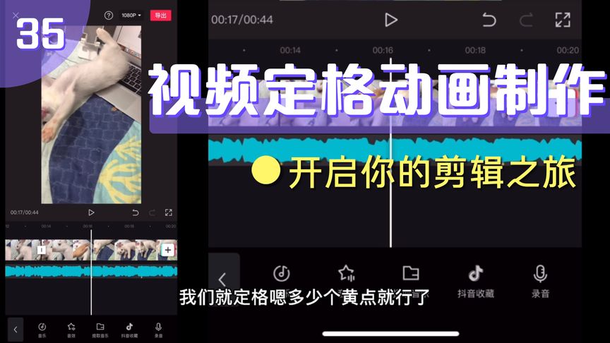 视频定格动画的效果应该怎么样去制作!分分钟让你视频聊天出大片