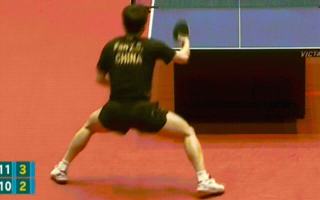 [樊振东]比赛篇