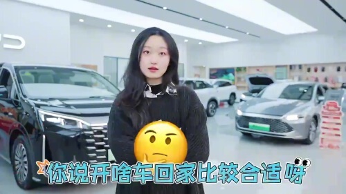 过年出行开什么车?比亚迪夏陪你回家