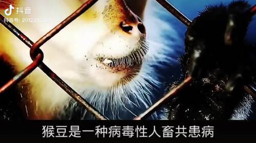 猴豆病毒到底是怎么传播的
