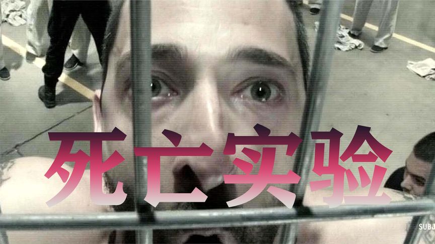 一场行为实验,把原本的平衡给突破了,#死亡实验