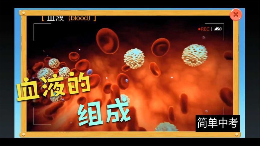 血液的组成:血浆和血细胞(红细胞、白细胞、血小板)