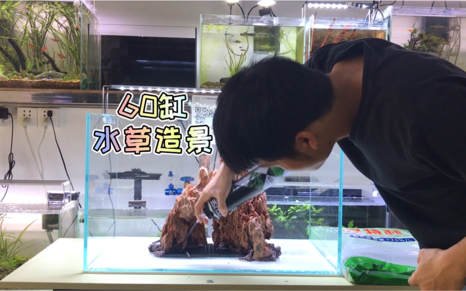 【鱼缸造景】60草缸+松皮石骨架