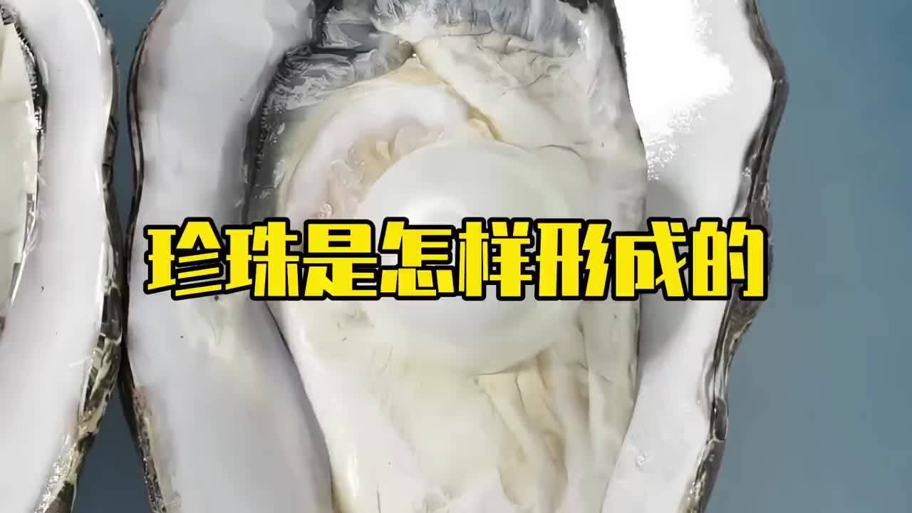 珍珠是怎样形成的?