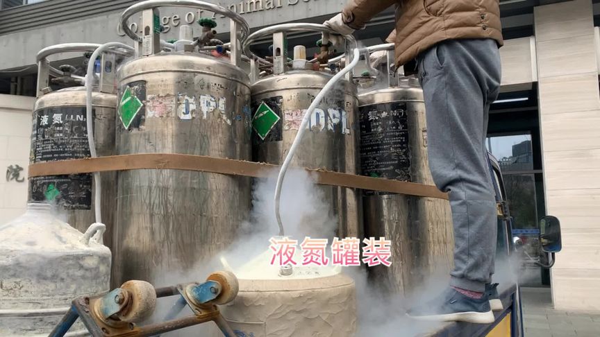 氮气的作用无穷大!了解下液氮现场罐装,