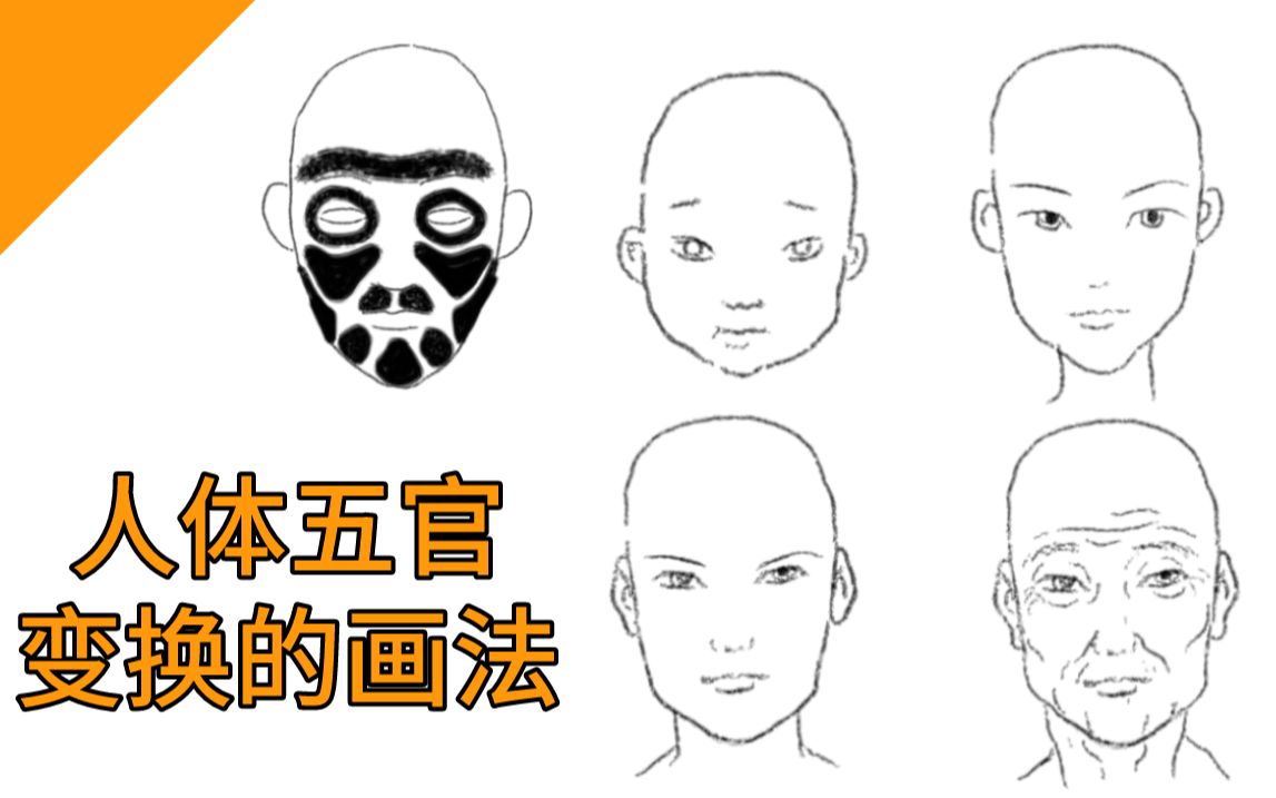 【绘画过程】人体五官的变化有那些?怎么画人脸及五官呢?