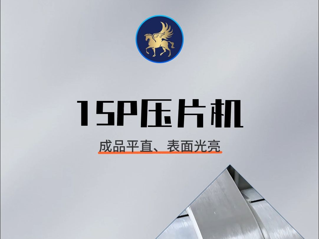 11月21日 15P压片机