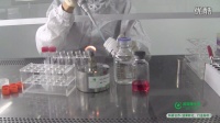 威斯腾生物视频——裸鼠成瘤实验方法