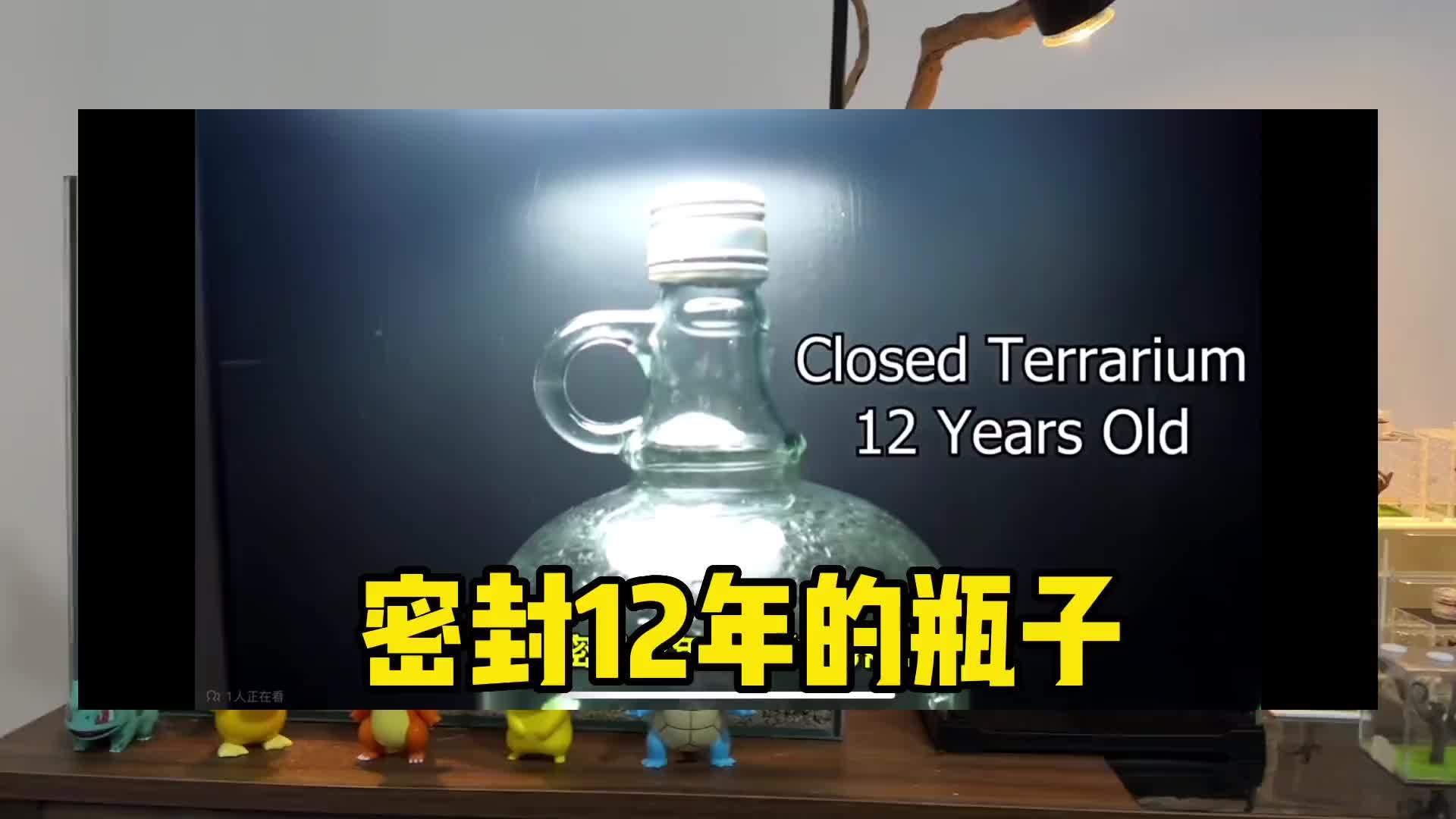 密封3年的生态瓶,打开后会发生什么?