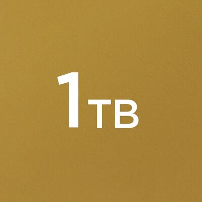 给我1TB 
