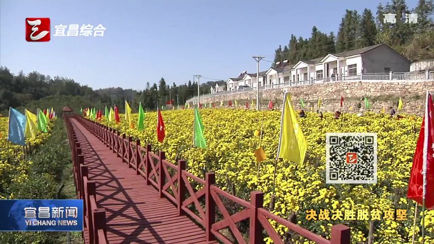 大力实施乡村振兴战略 宜昌市交出满意成绩单