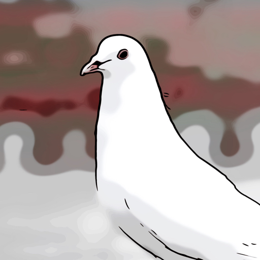 泳鸽 